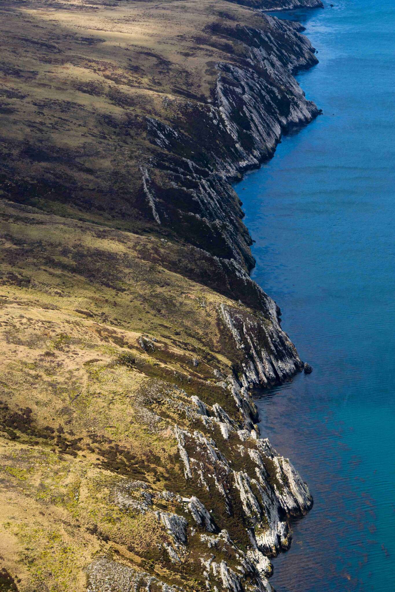 Falkland Islands: Wildlife and History Await